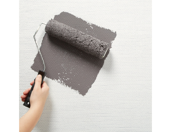 Fibre de verre 100g - 50 m - Brico Dépôt