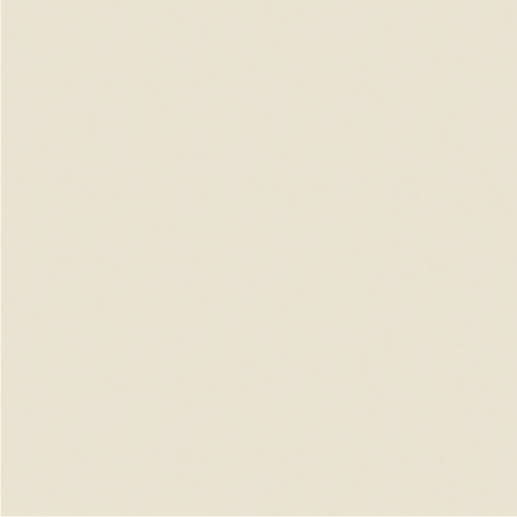 Peinture façade extrême 10 L blanc cassé mat - Brico Dépôt